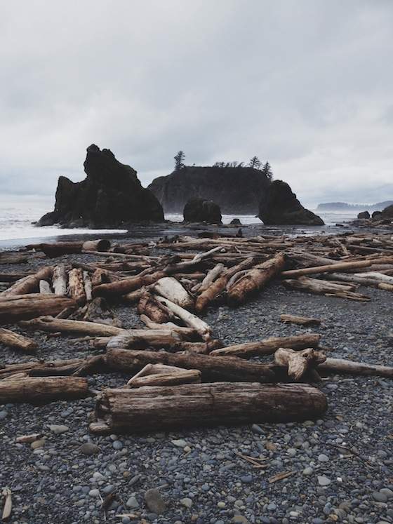 How Kevin Russ Takes Beautiful Nature & Wildlife Photos With iPhone