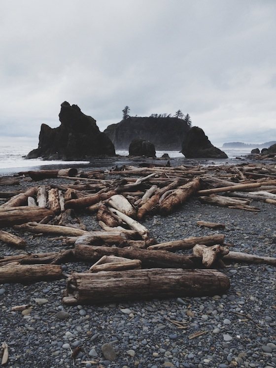 How Kevin Russ Takes Beautiful Nature & Wildlife Photos With iPhone