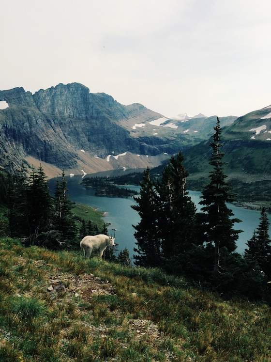 How Kevin Russ Takes Beautiful Nature & Wildlife Photos With iPhone