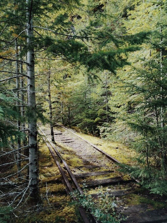 How Kevin Russ Takes Beautiful Nature & Wildlife Photos With iPhone