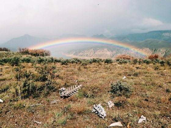 How Kevin Russ Takes Beautiful Nature & Wildlife Photos With iPhone