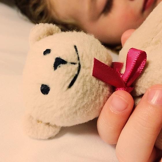 30 Stunning iPhone Macro and Close-Up Photos