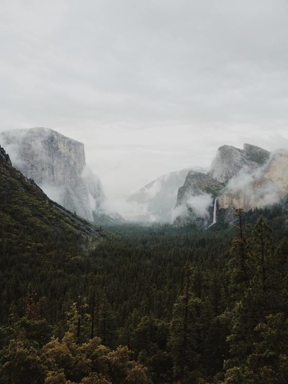 How Kevin Russ Takes Beautiful Nature & Wildlife Photos With iPhone