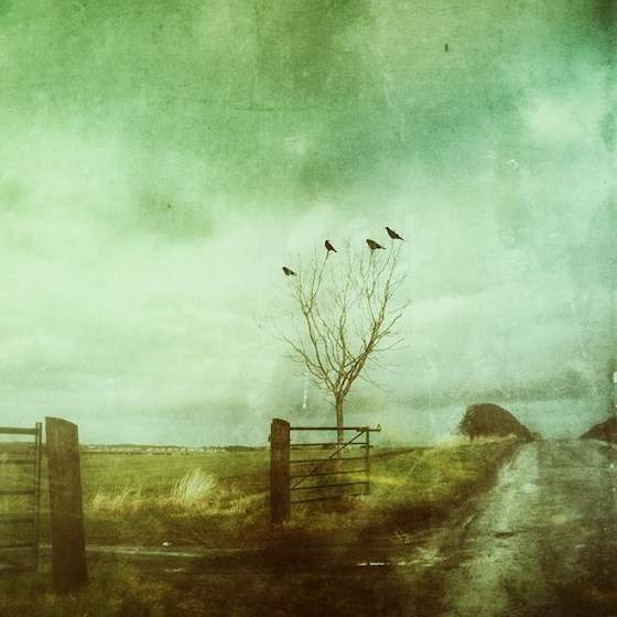 30 Stunning Examples of iPhone Landscape Photography