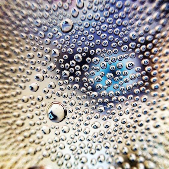 30 Stunning iPhone Macro and Close-Up Photos