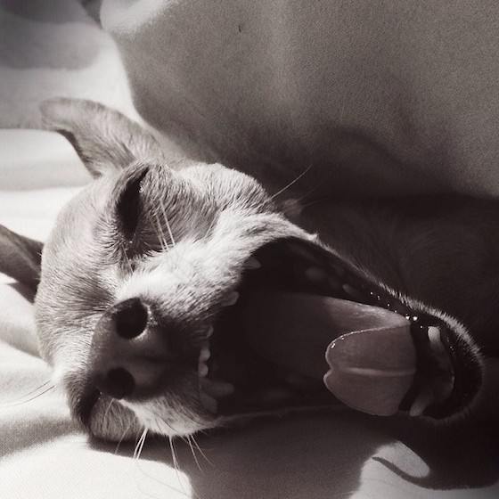30 Stunning Examples of iPhone Portrait Photography