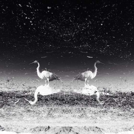 30 Unbelievable iPhone Reflection Photos