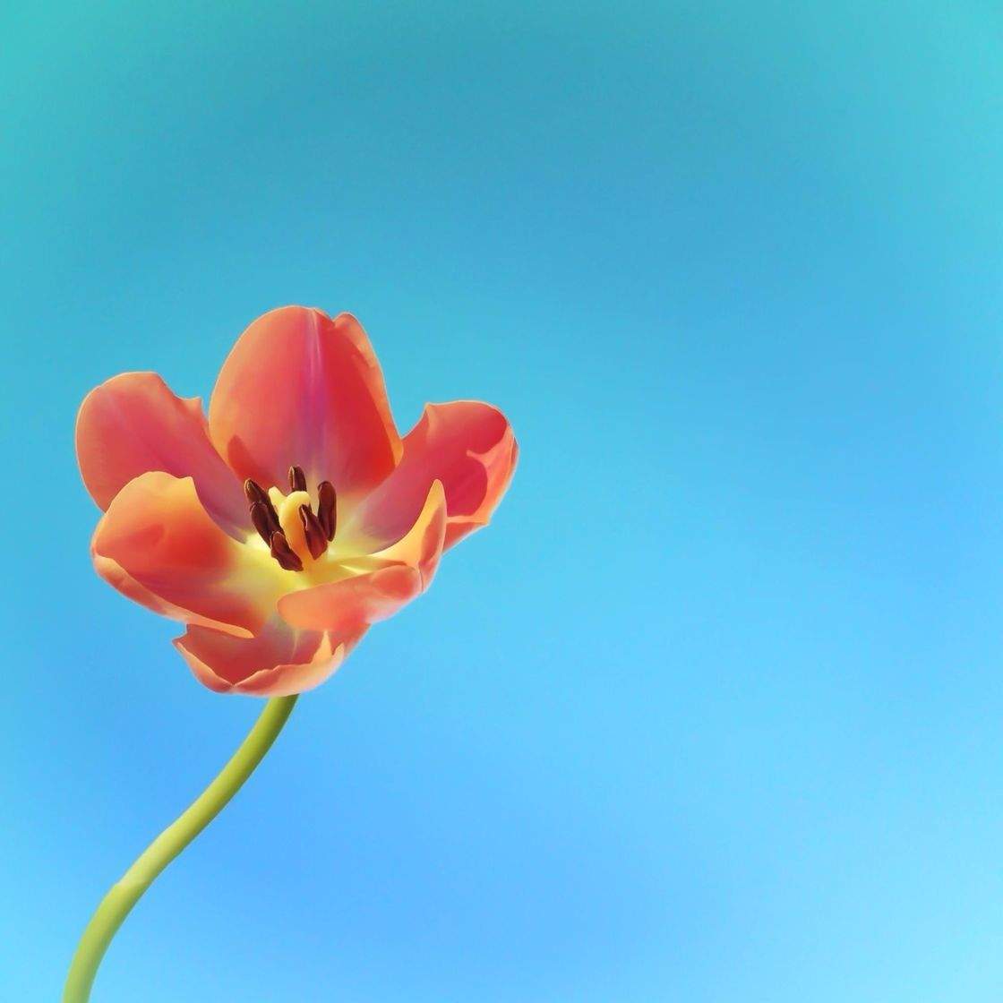 30 Stunning Examples of Minimalist iPhone Photography