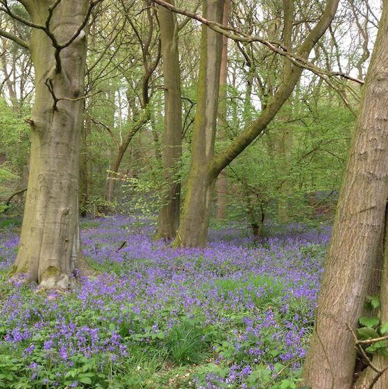 30 Amazing iPhone Photos Without Any Editing