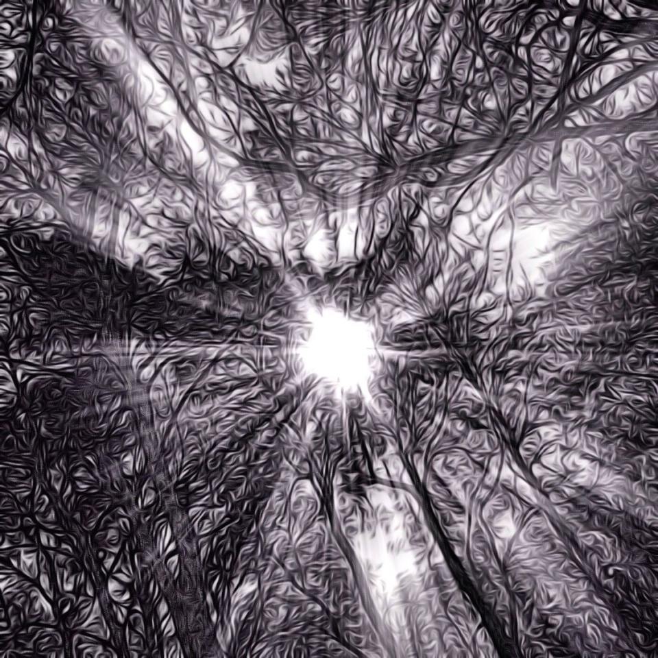 30 iPhone Photos Showing Extraordinary Light