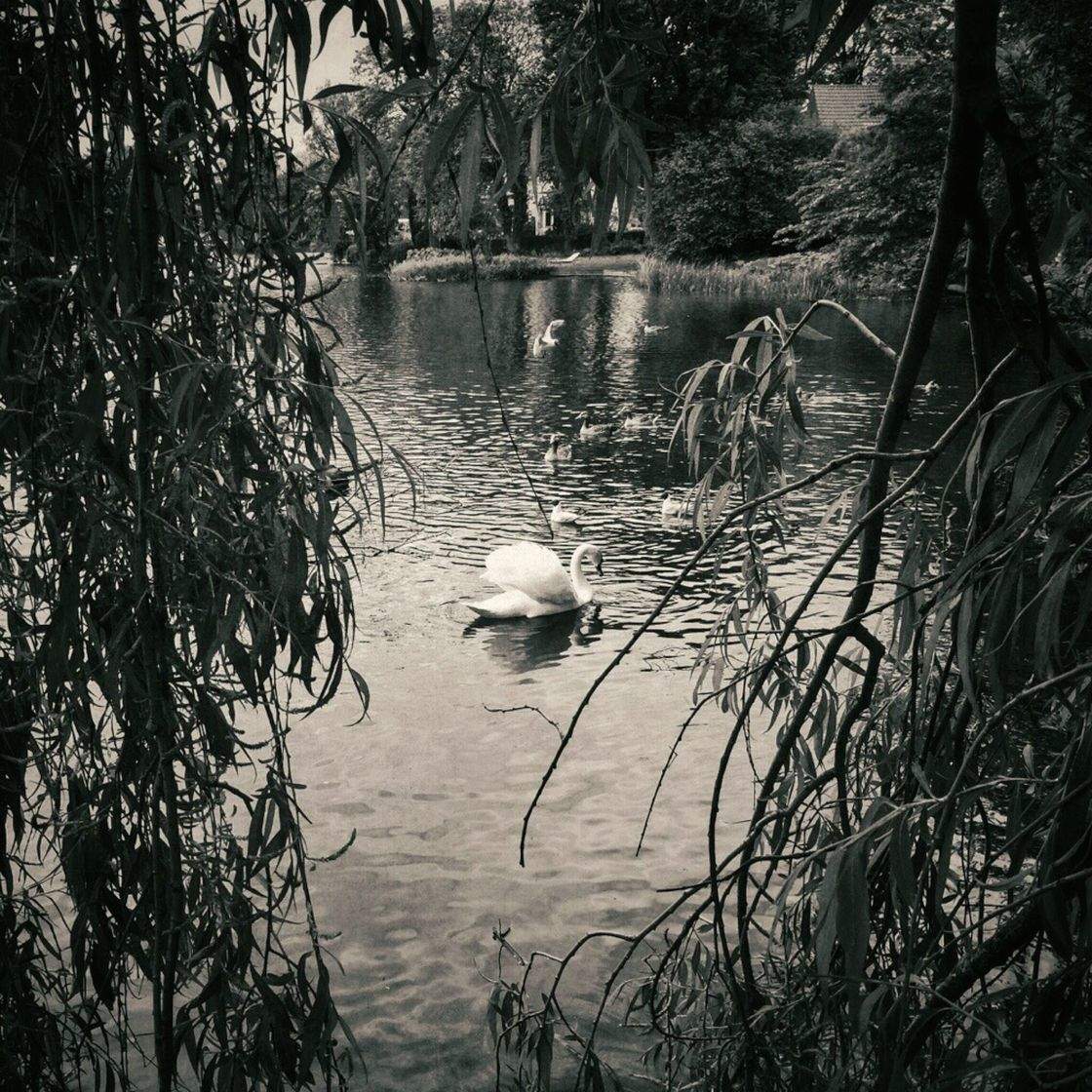 30 iPhone Photos Showing Extraordinary Light