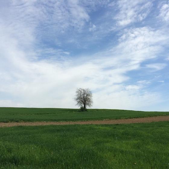 30 Amazing iPhone Photos Without Any Editing