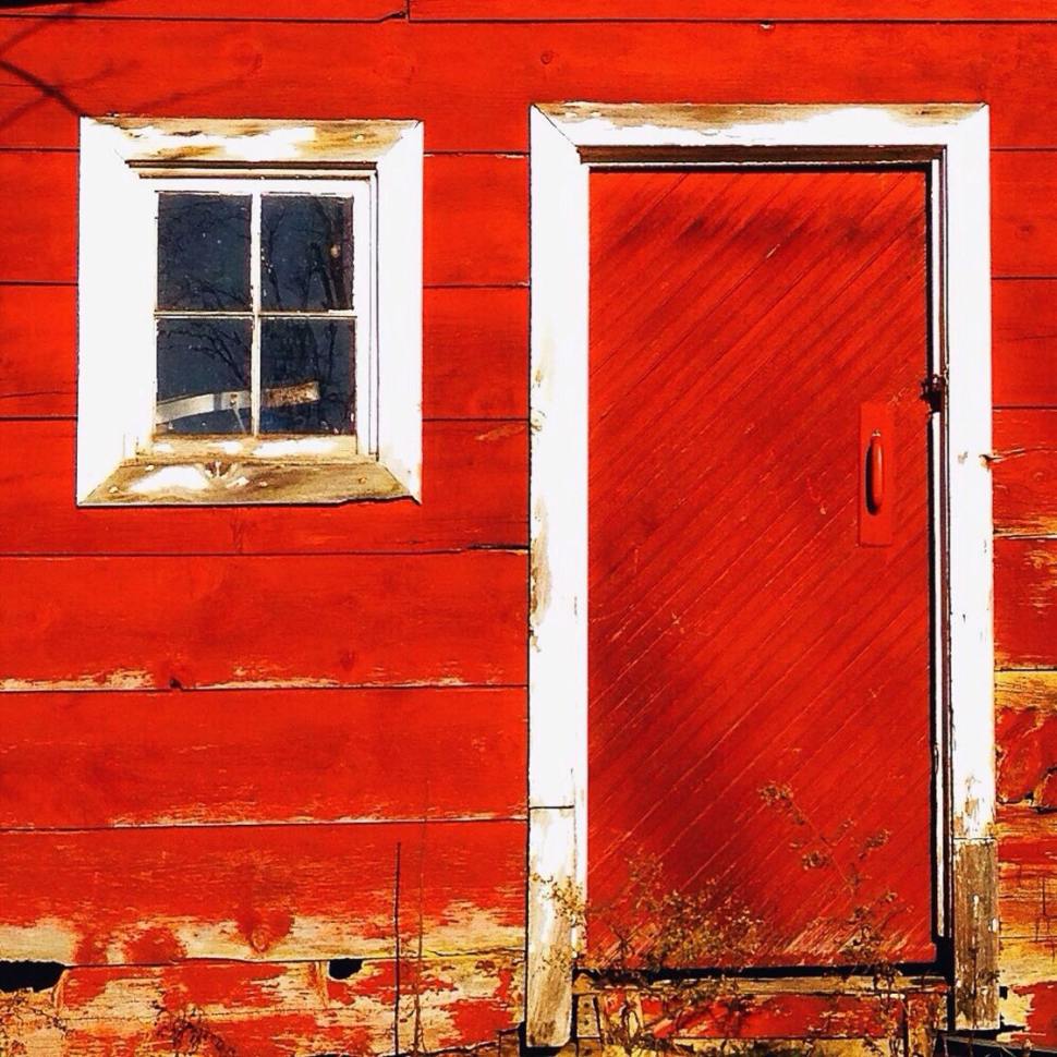 30 Incredible iPhone Photos That Show Vibrant Colors