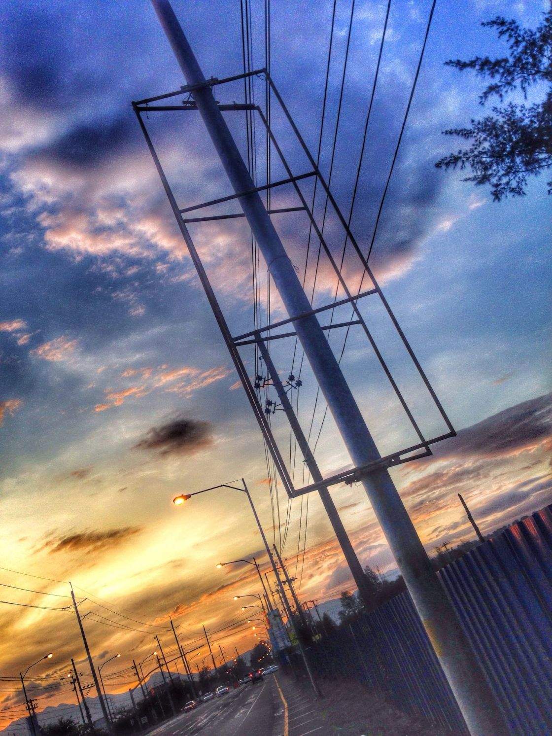 30 Incredible iPhone Photos That Show Vibrant Colors