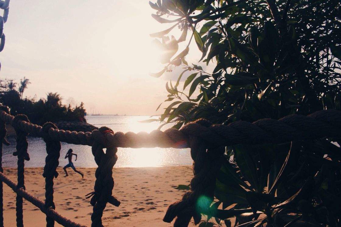 30 Incredible iPhone Photos of Summer