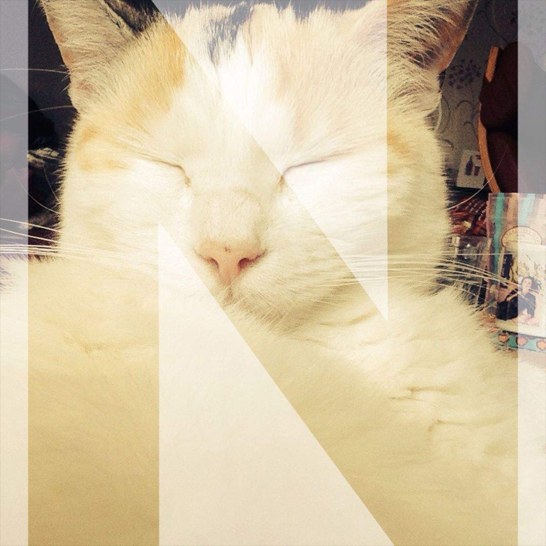 5 iPhone Photo Apps That You Should Know About