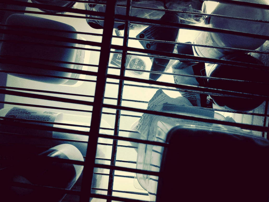 10 Tips For Taking Incredible Low Angle iPhone Photos