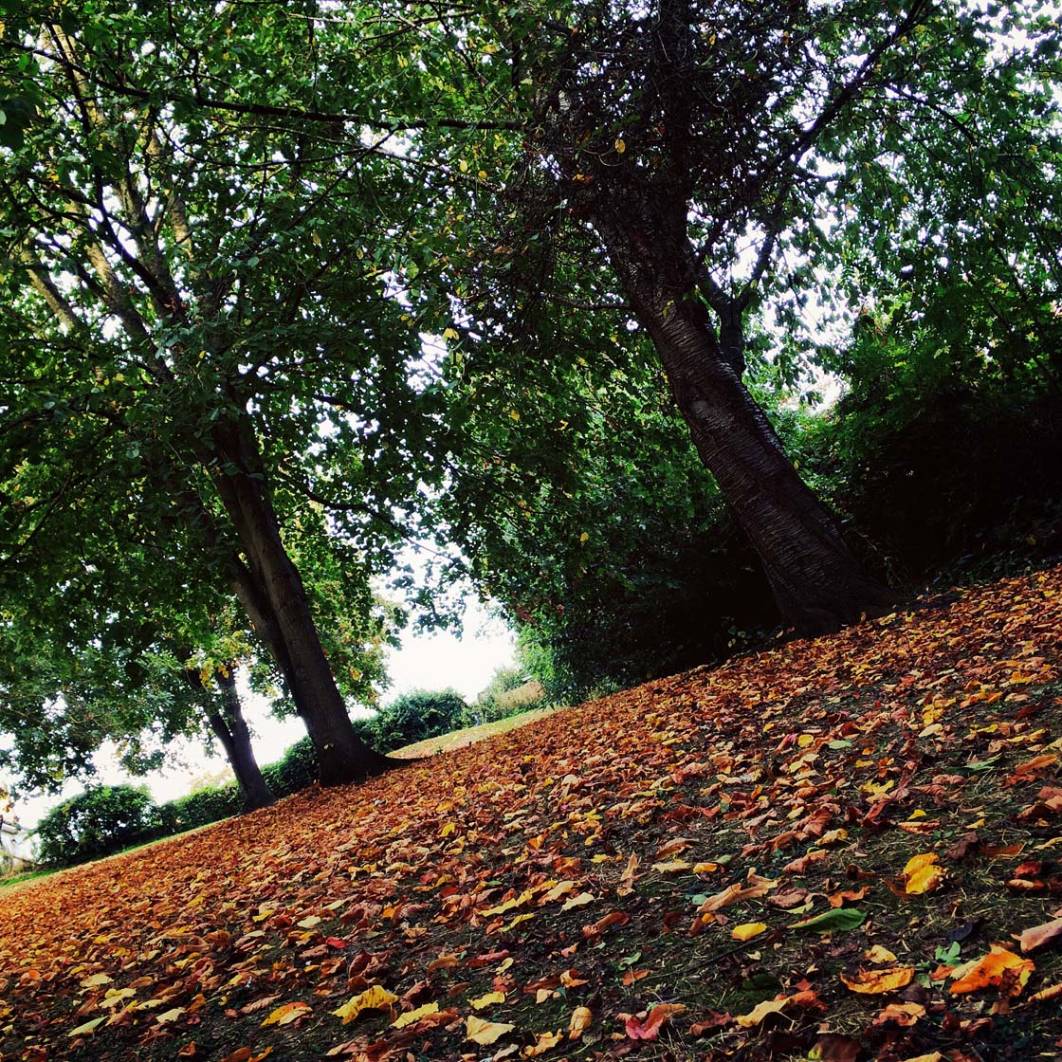 10 Tips For Taking Incredible Low Angle iPhone Photos