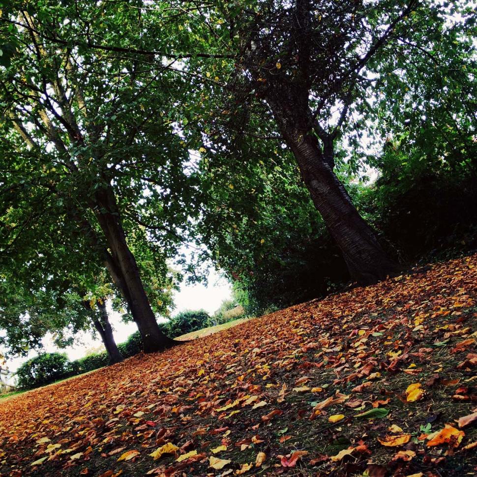 10 Tips For Taking Incredible Low Angle iPhone Photos