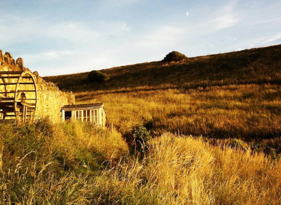 10 Tips For Taking Amazing iPhone Photos In The Sun