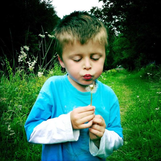 10 Tips For Taking Amazing iPhone Photos In The Sun