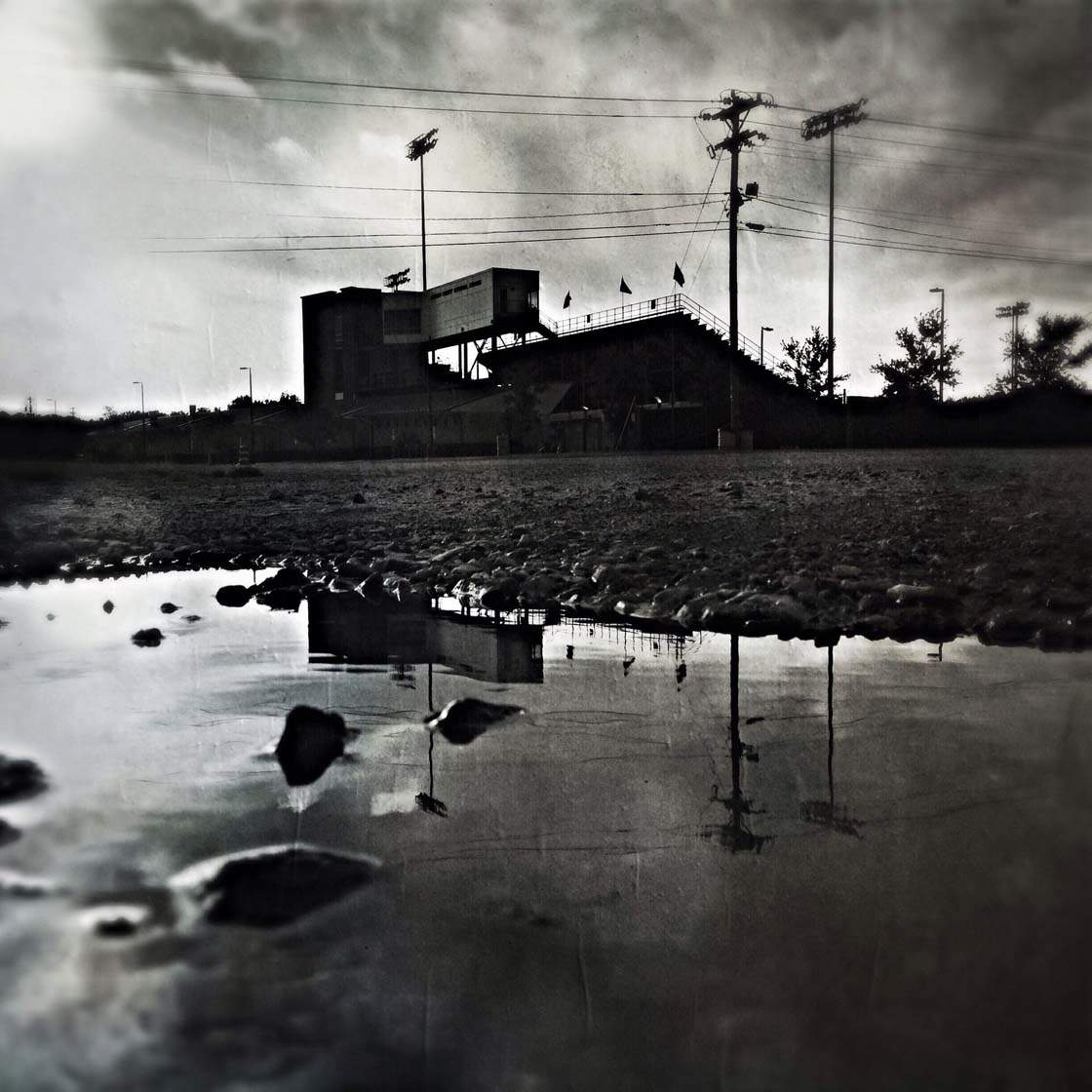 30 Incredible iPhone Photos Taken From A Low Angle