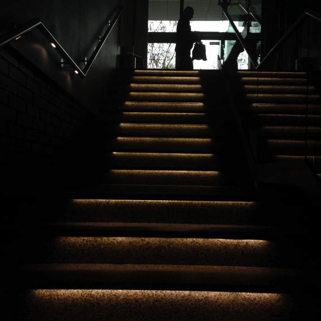 30 Incredible iPhone Photos Taken From A Low Angle