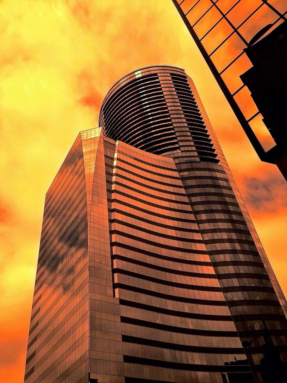 30 Incredible iPhone Photos Taken From A Low Angle