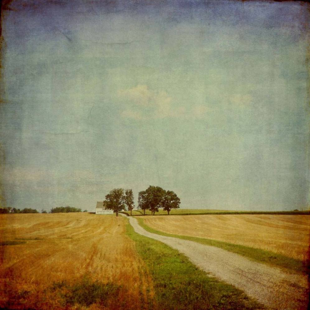 30 Stunning iPhone Photos That Use Negative Space