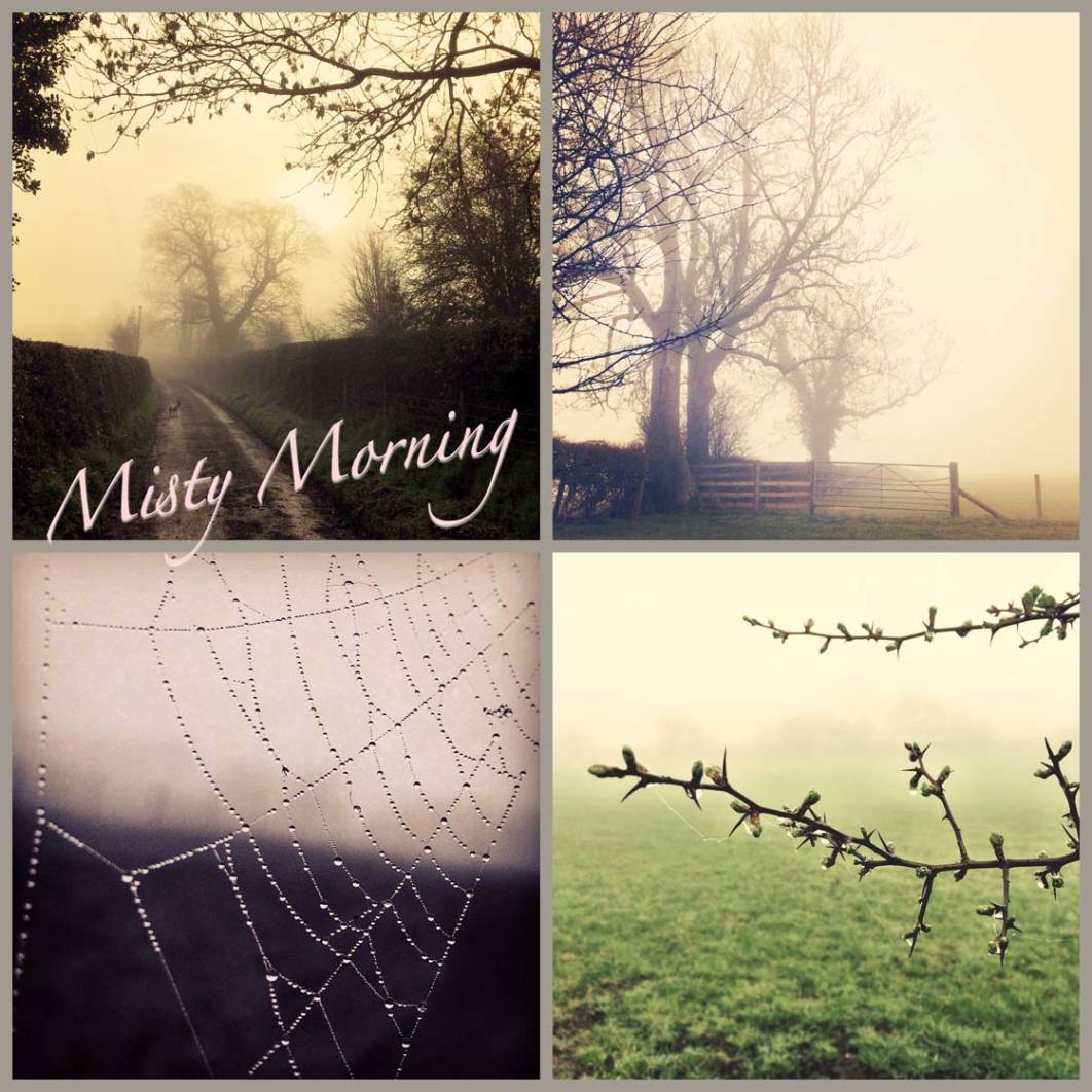 How To Create iPhone Photo Collages Using Diptic App