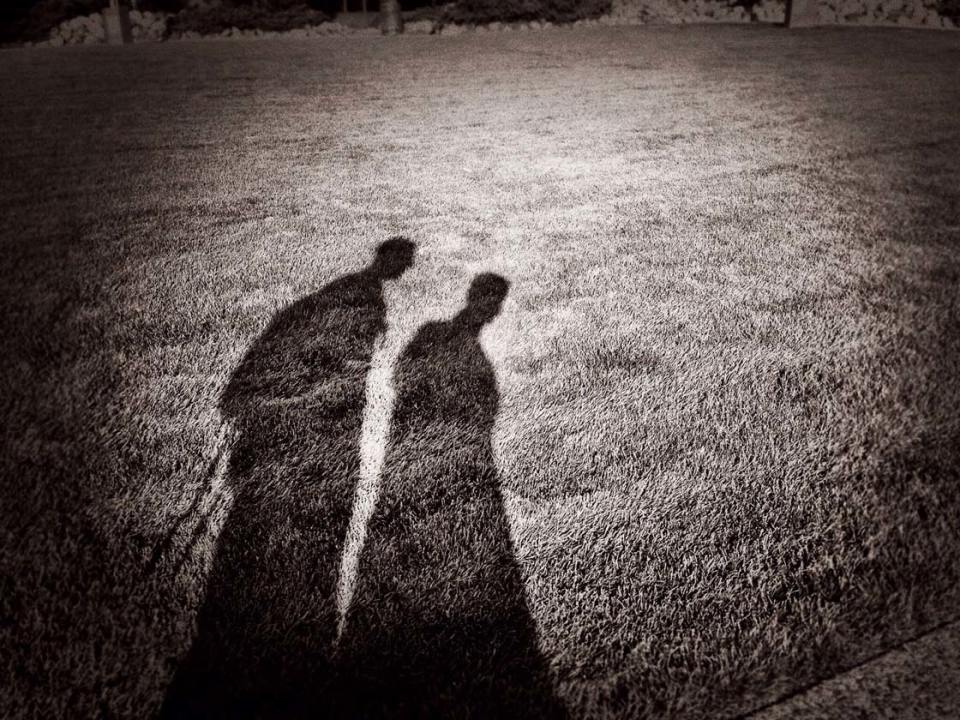 30 Incredible iPhone Photos Taken In Amazing Sunlight