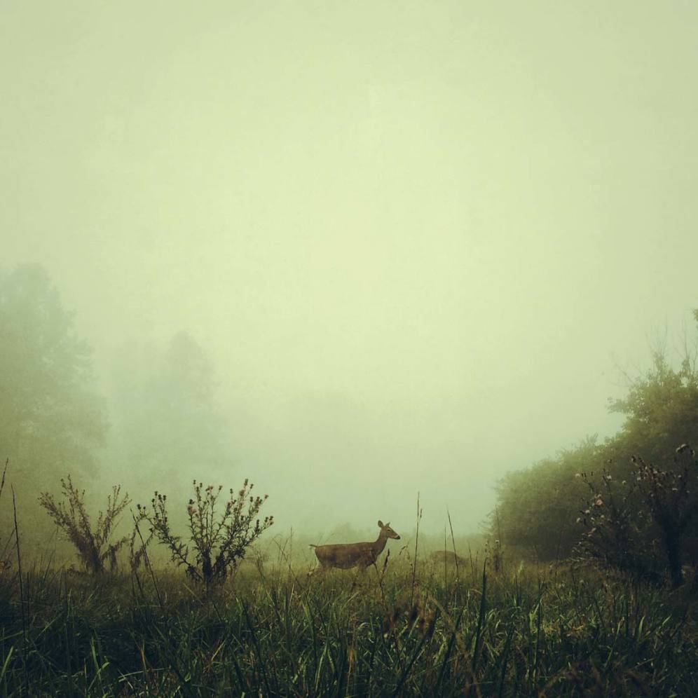 10 iPhone Landscape Photographers To Follow On Instagram