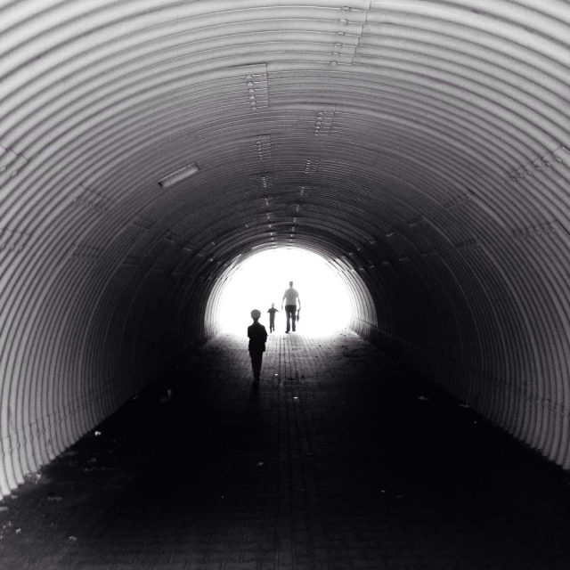 30 Incredible iPhone Photos Taken In Amazing Sunlight