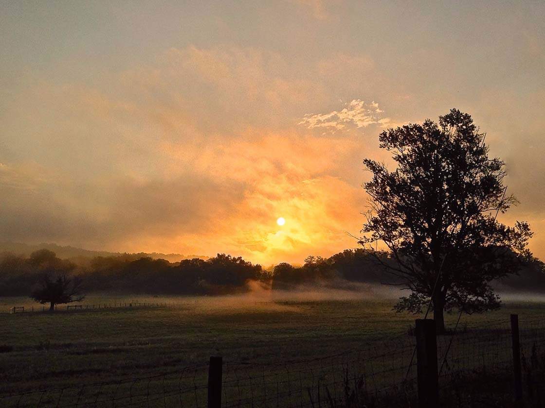 30 Incredible iPhone Photos Taken In Amazing Sunlight