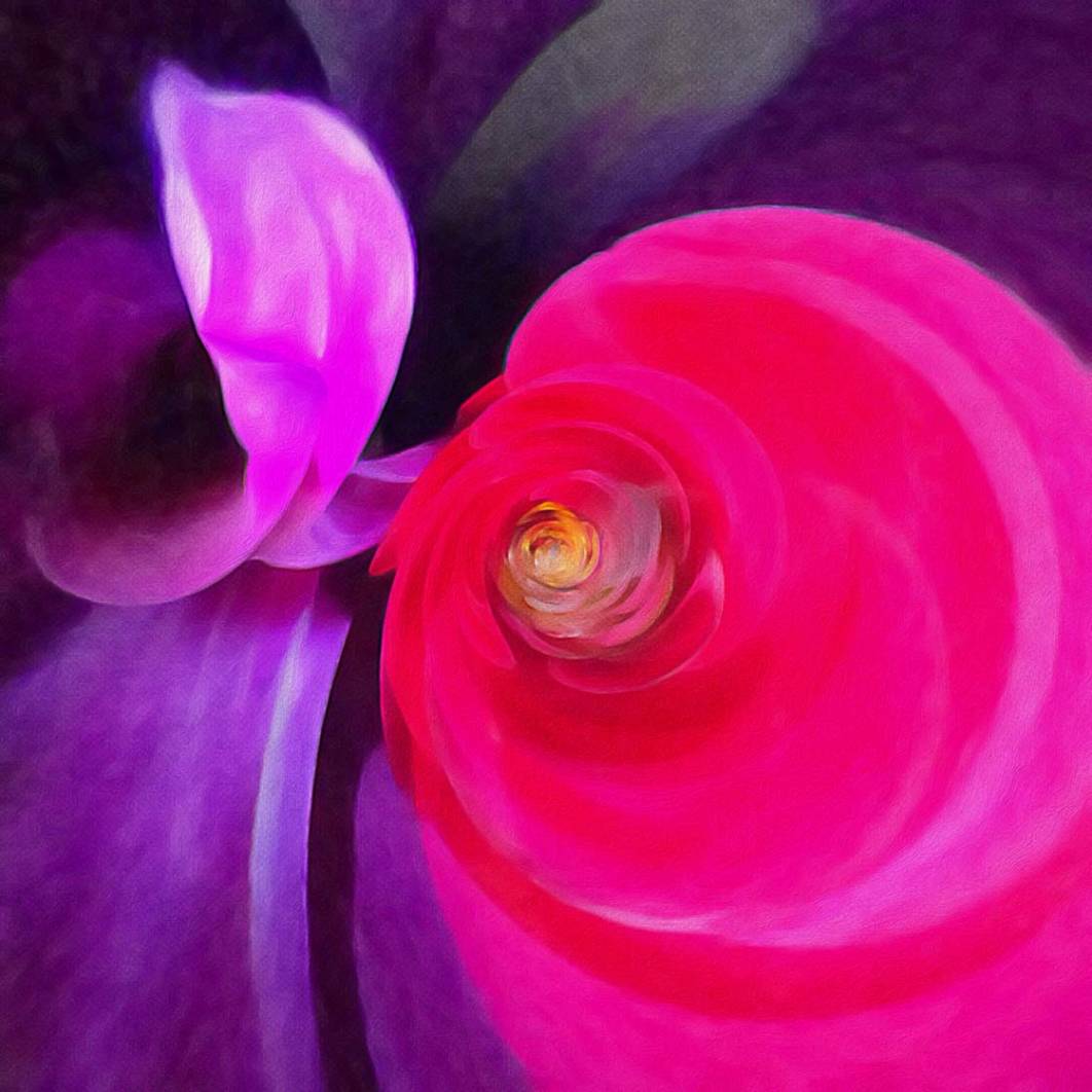 How To Create Abstract Art With Your iPhone Flower Photos