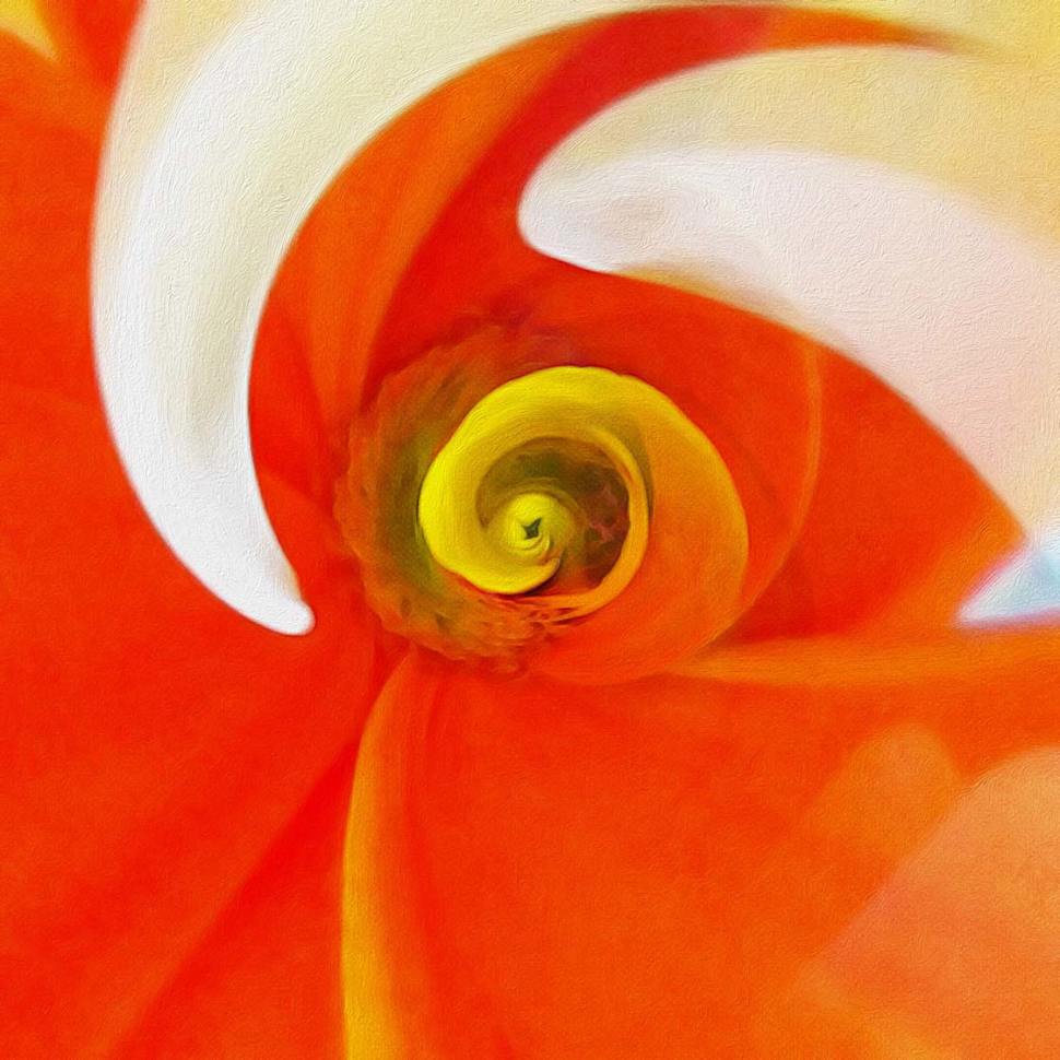 How To Create Abstract Art With Your iPhone Flower Photos