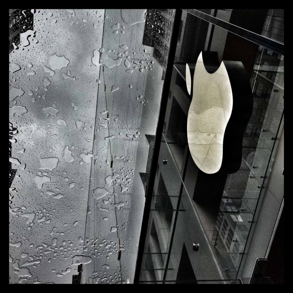 30 Incredible iPhone Photos Taken From A Low Angle