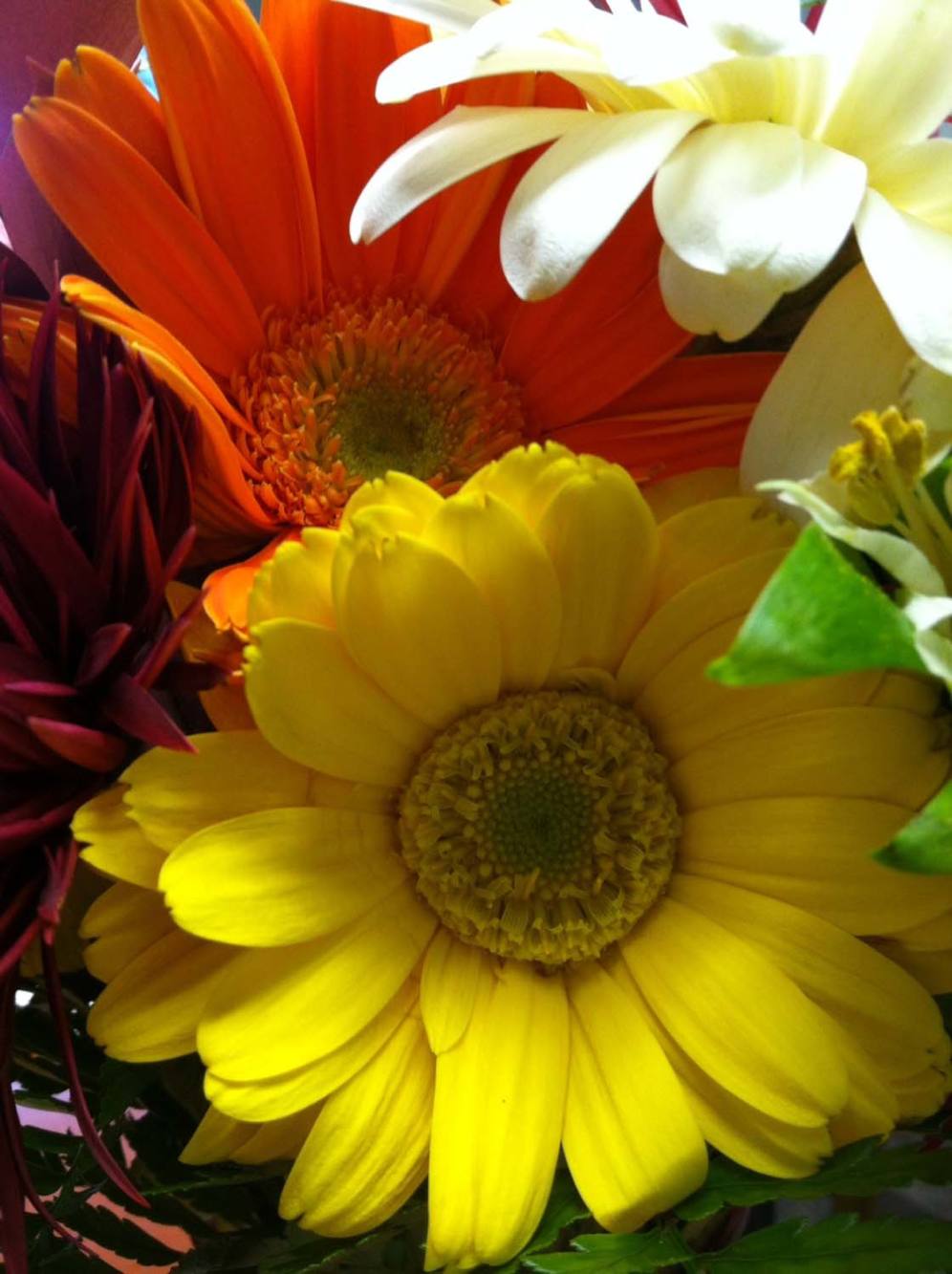 How To Create Abstract Art With Your iPhone Flower Photos