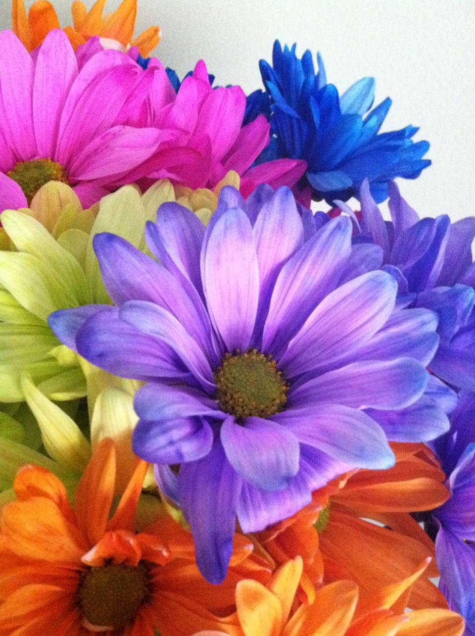 How To Create Abstract Art With Your iPhone Flower Photos