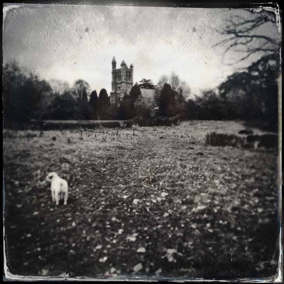 How To Use TinType App To Create Beautiful Vintage iPhone Photos