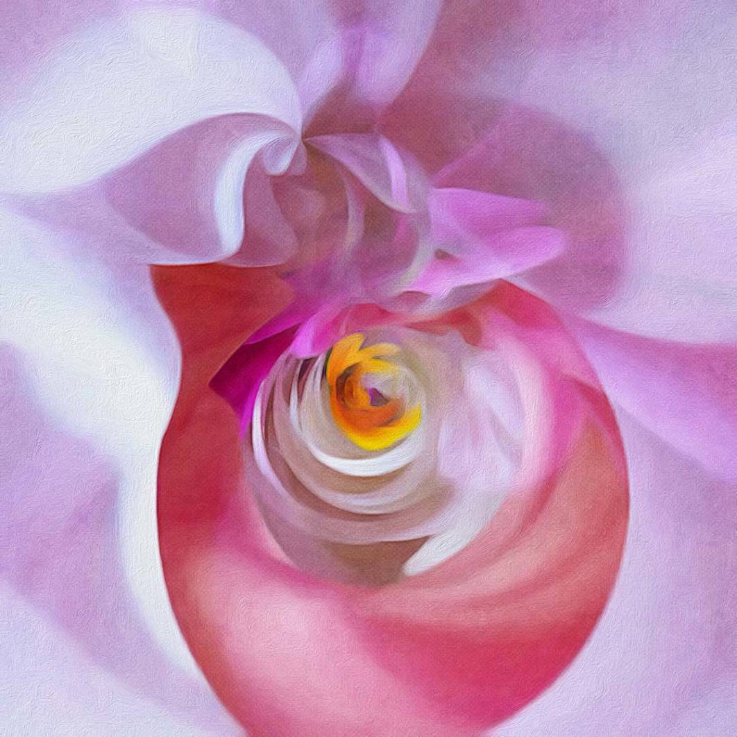 How To Create Abstract Art With Your iPhone Flower Photos