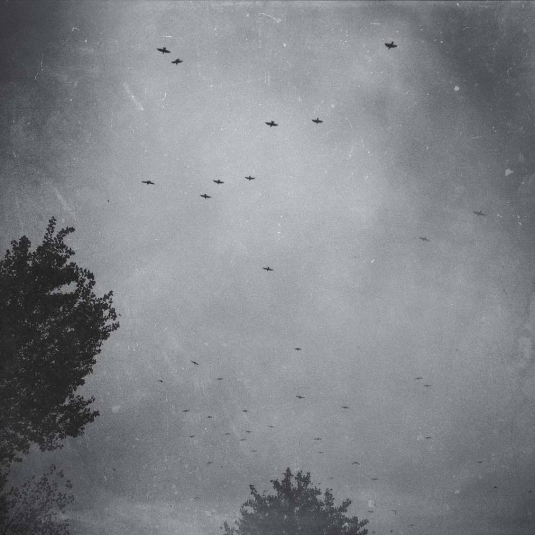 30 Stunning iPhone Photos Showing The Beauty Of Fall