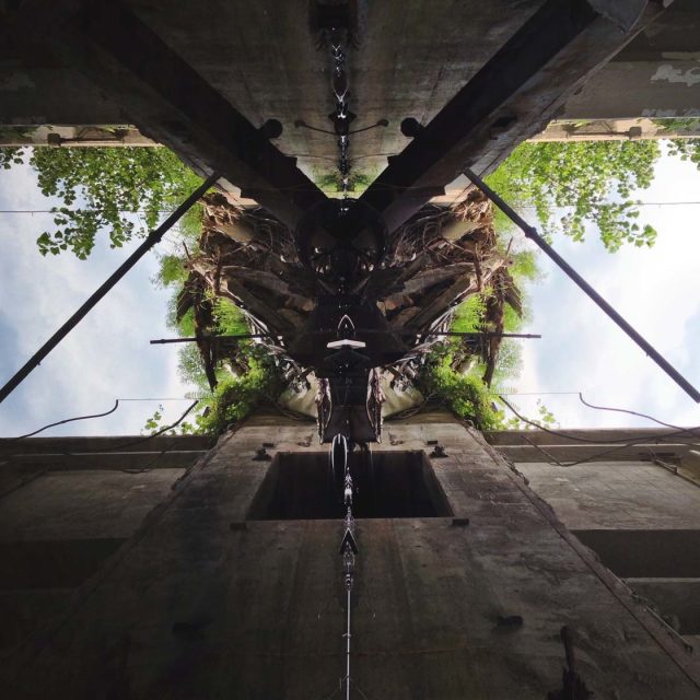 How Adam Elkins Takes Incredible Photos With His iPhone