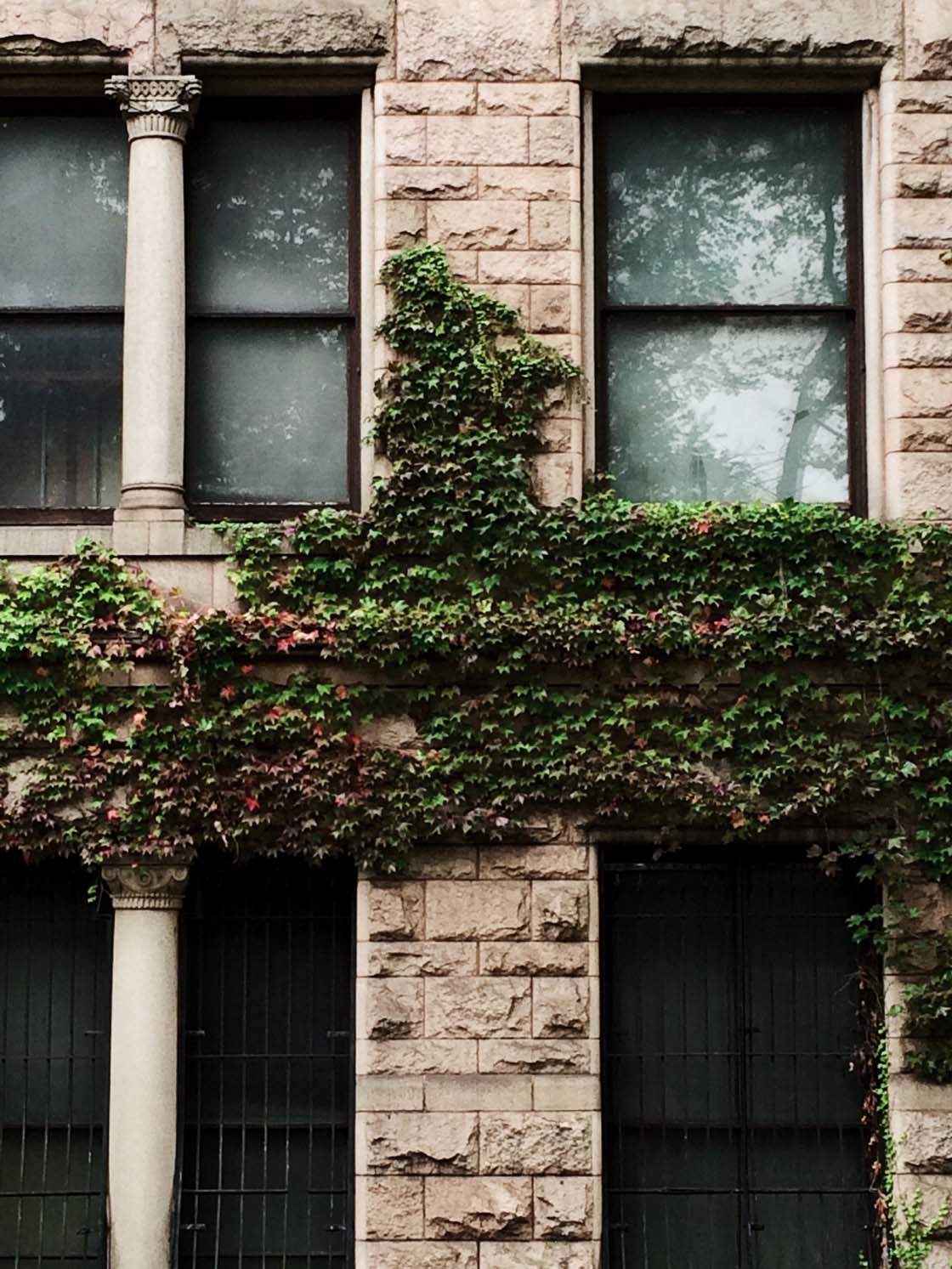 7 Tips For Creating Symmetry In Your iPhone Photos