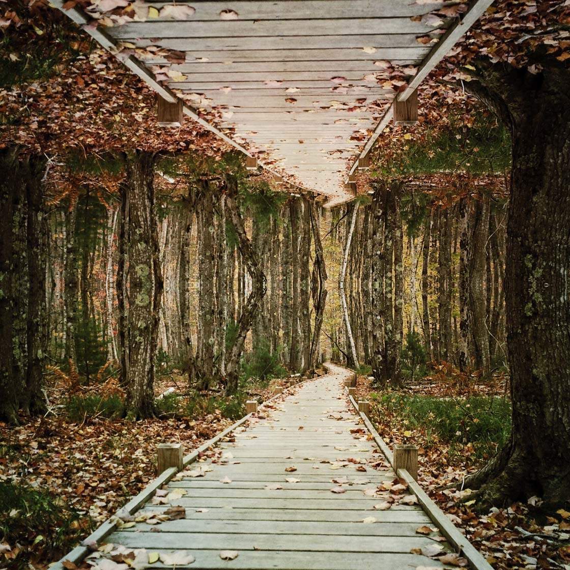 7 Tips For Creating Symmetry In Your iPhone Photos