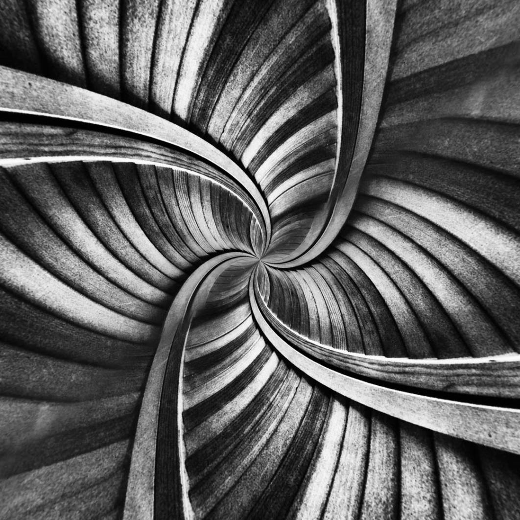 30 Stunning iPhone Photos With Symmetrical Composition