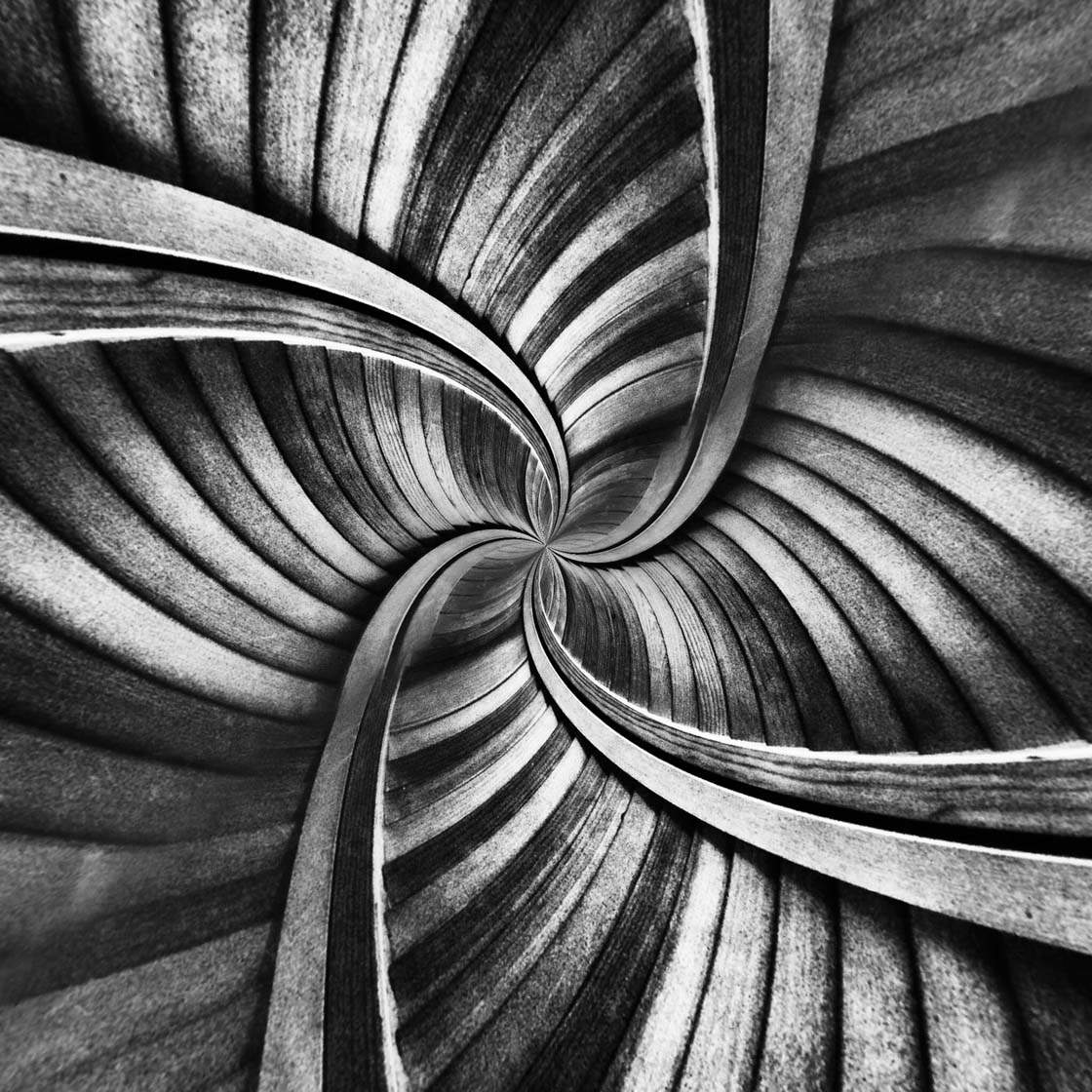 30 Stunning iPhone Photos With Symmetrical Composition