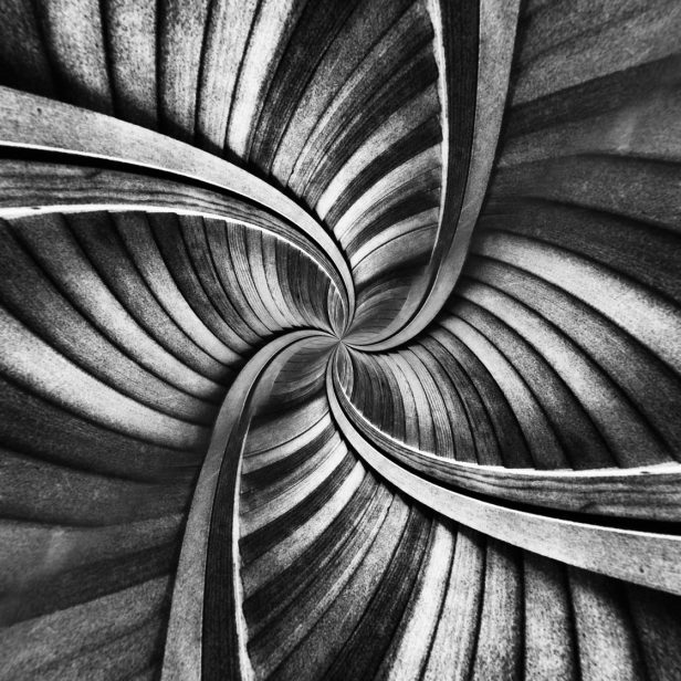 30 Stunning iPhone Photos With Symmetrical Composition