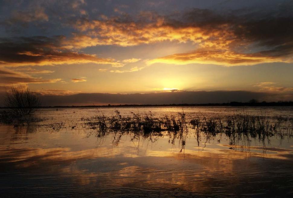 How To Take Better iPhone Photos In Low Light