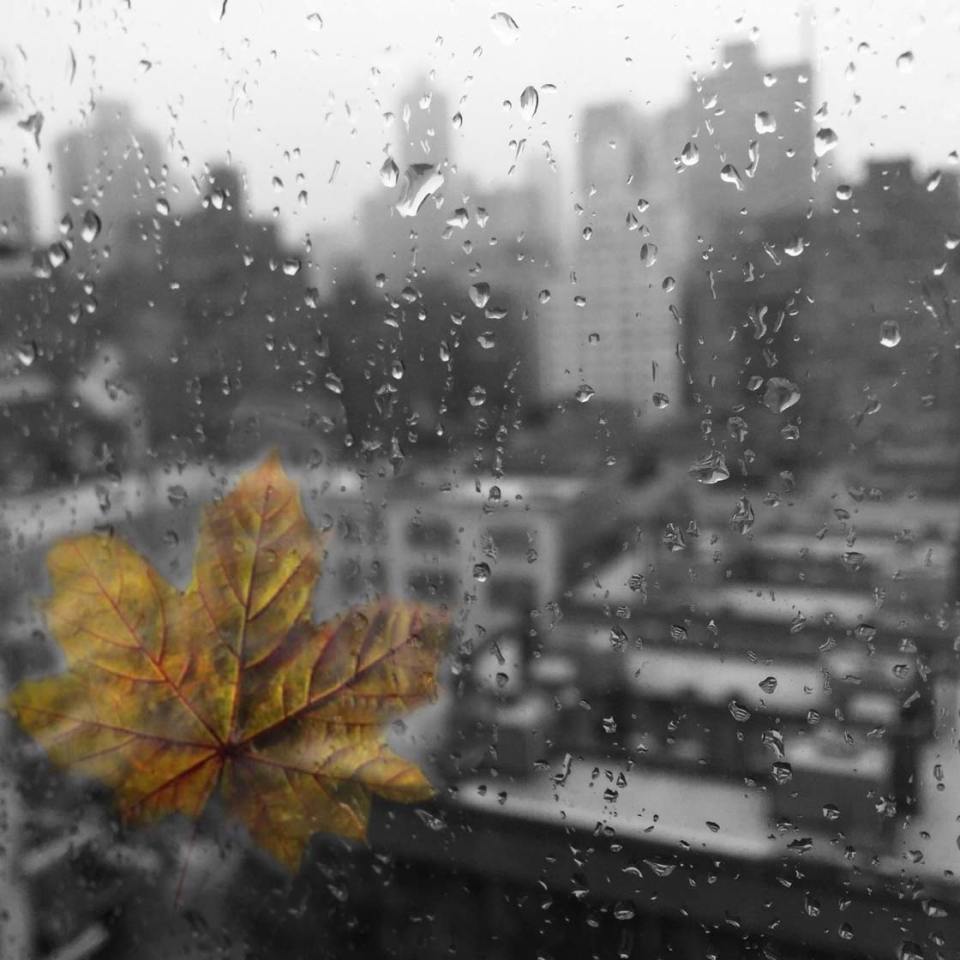 30 Incredible Double & Multiple Exposure iPhone Photos